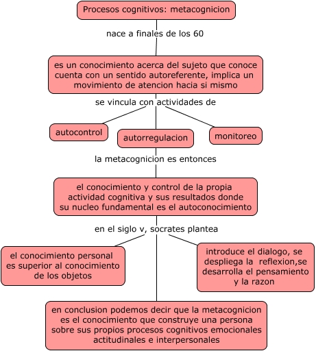 procesos cognitivos metacognicion
